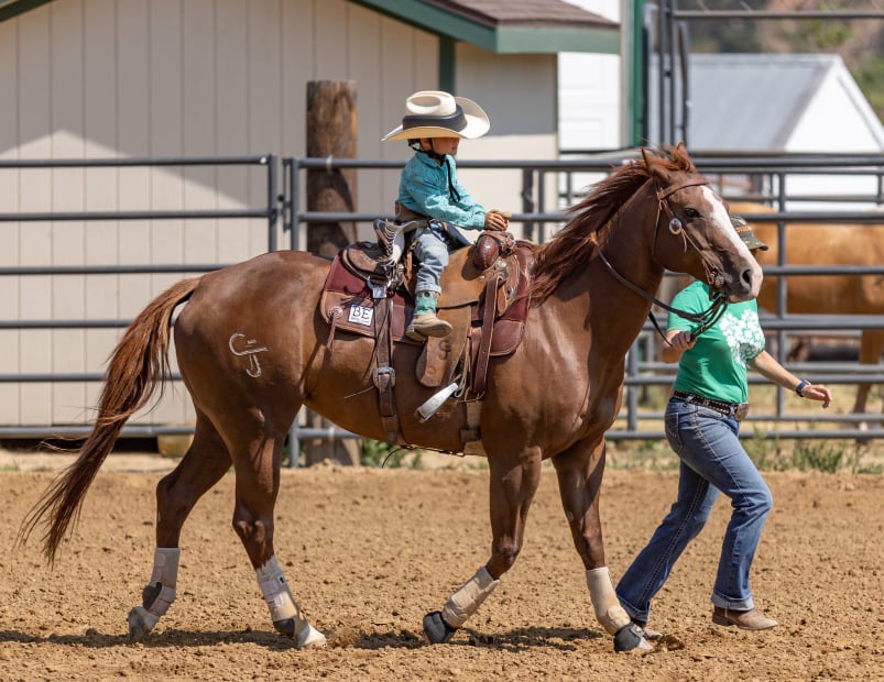 Maker of BE® Saddle Pads | Distributor For BETiree™ & Total Feeds ...