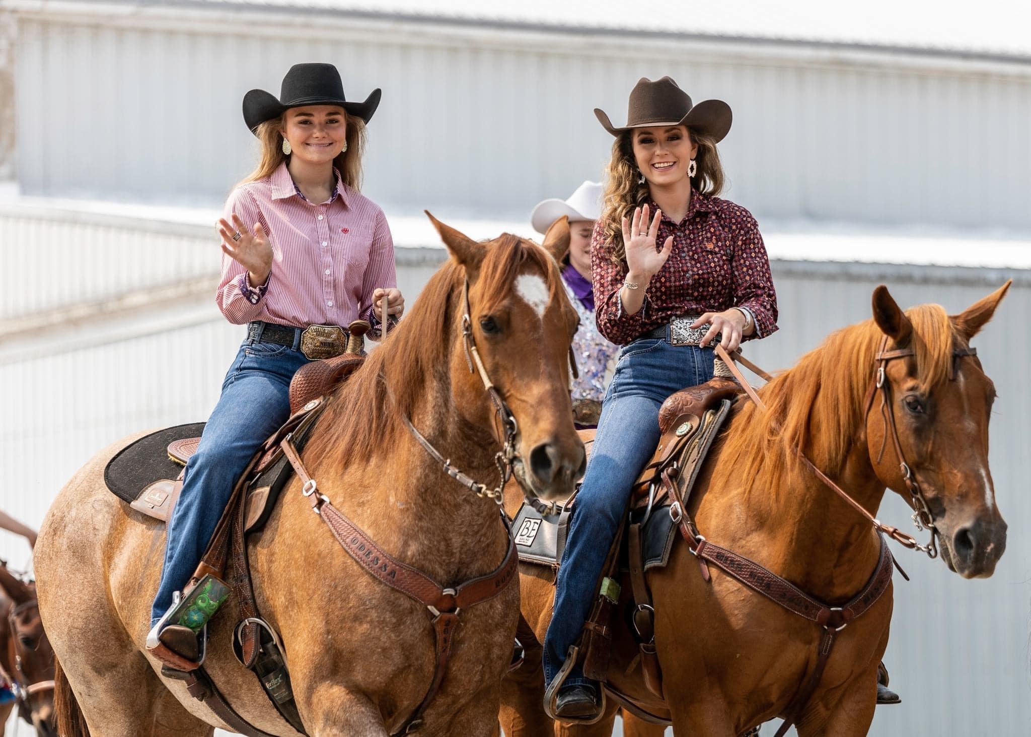 Maker of BE® Saddle Pads | Distributor For BETiree™ & Total Feeds ...