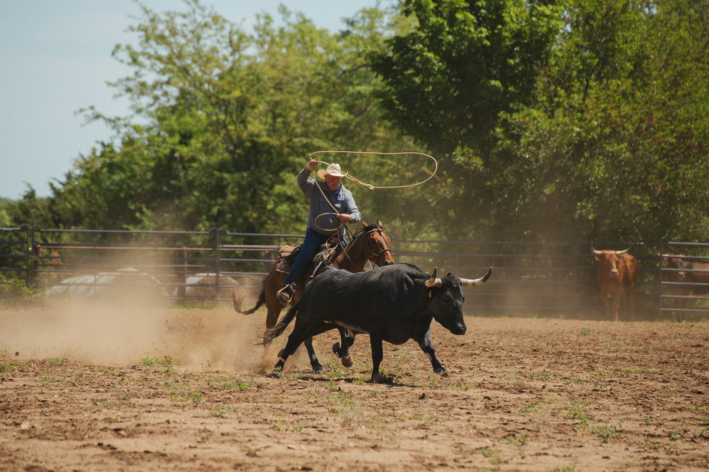 Maker of BE® Saddle Pads | Distributor For BETiree™ & Total Feeds ...